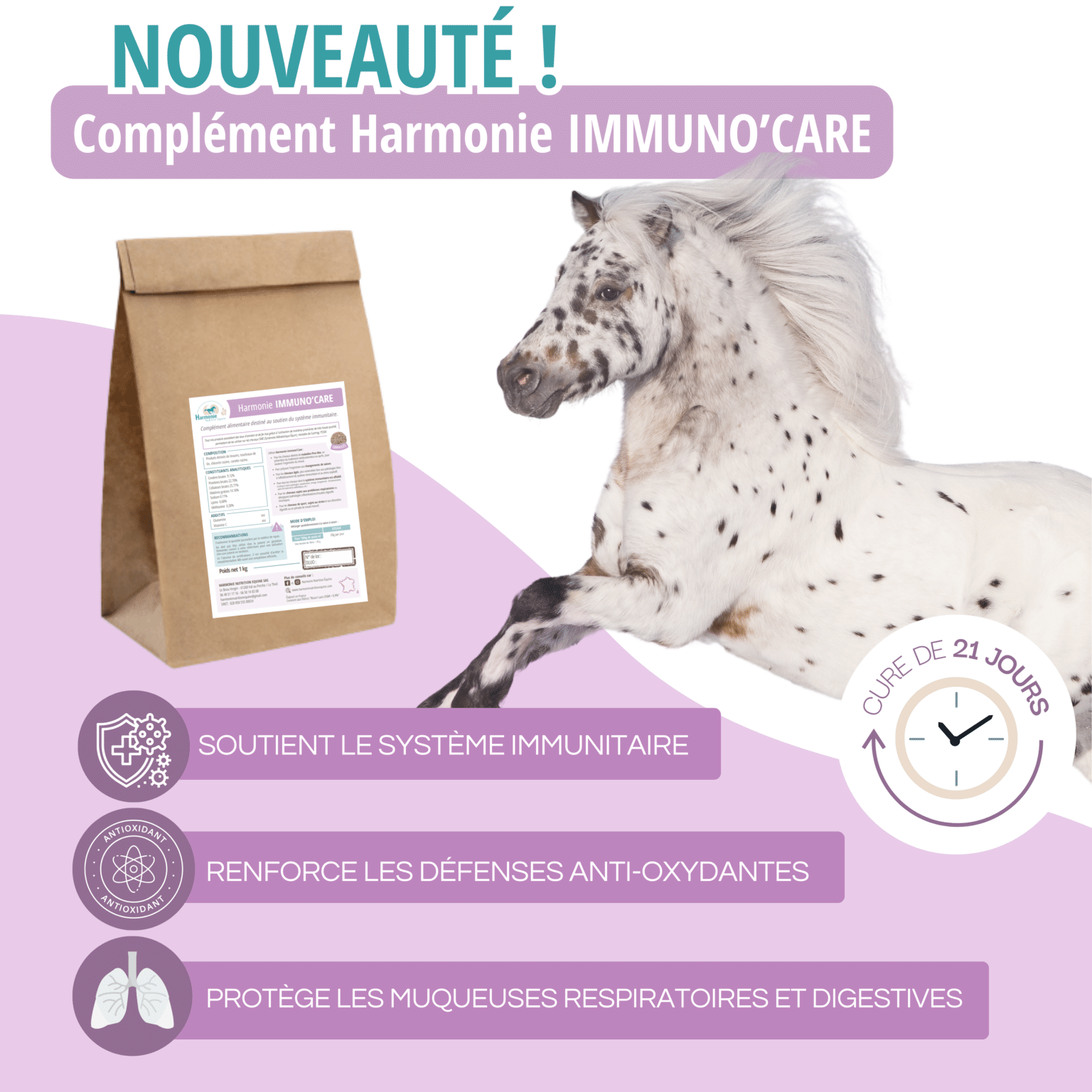 L'alimentation du cheval en surpoids / SME - Harmonie Nutrition Equine